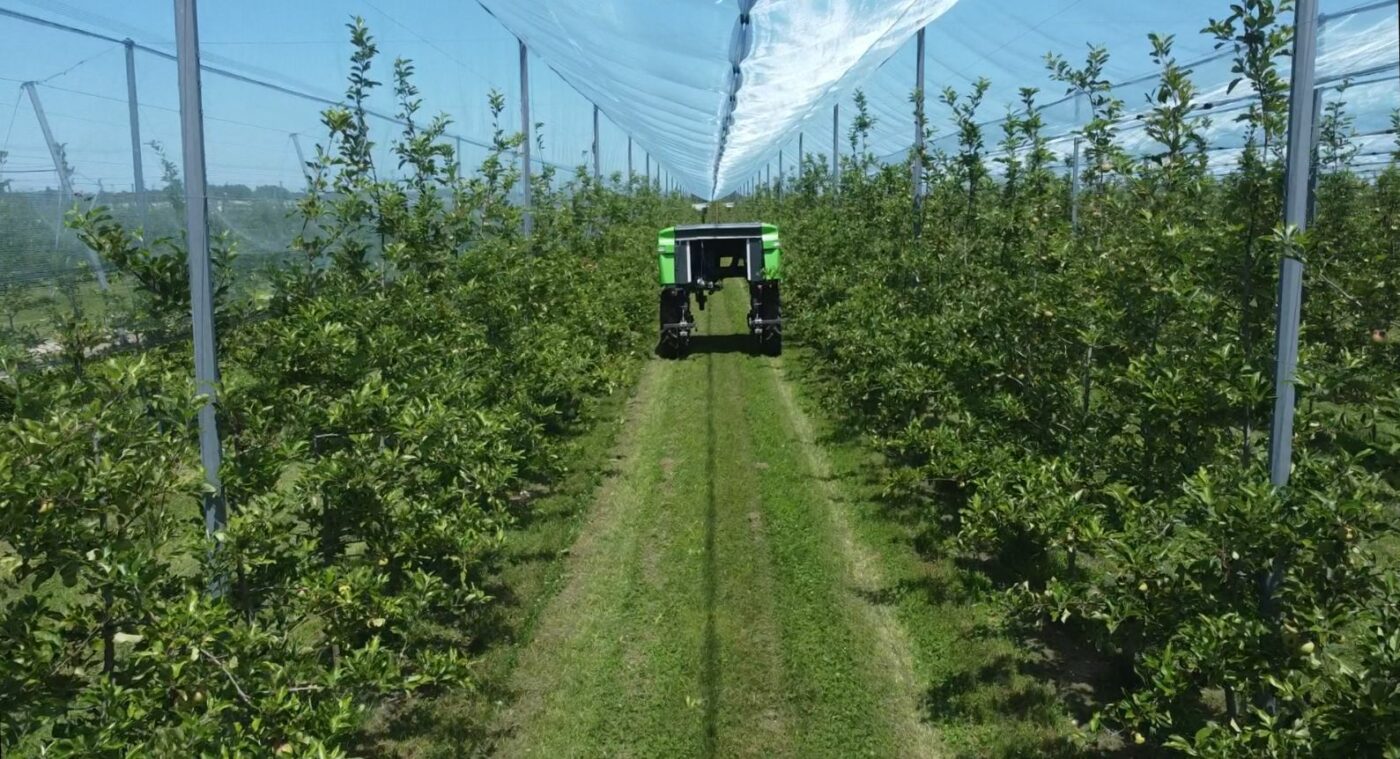 Others agricultures - Trektor
