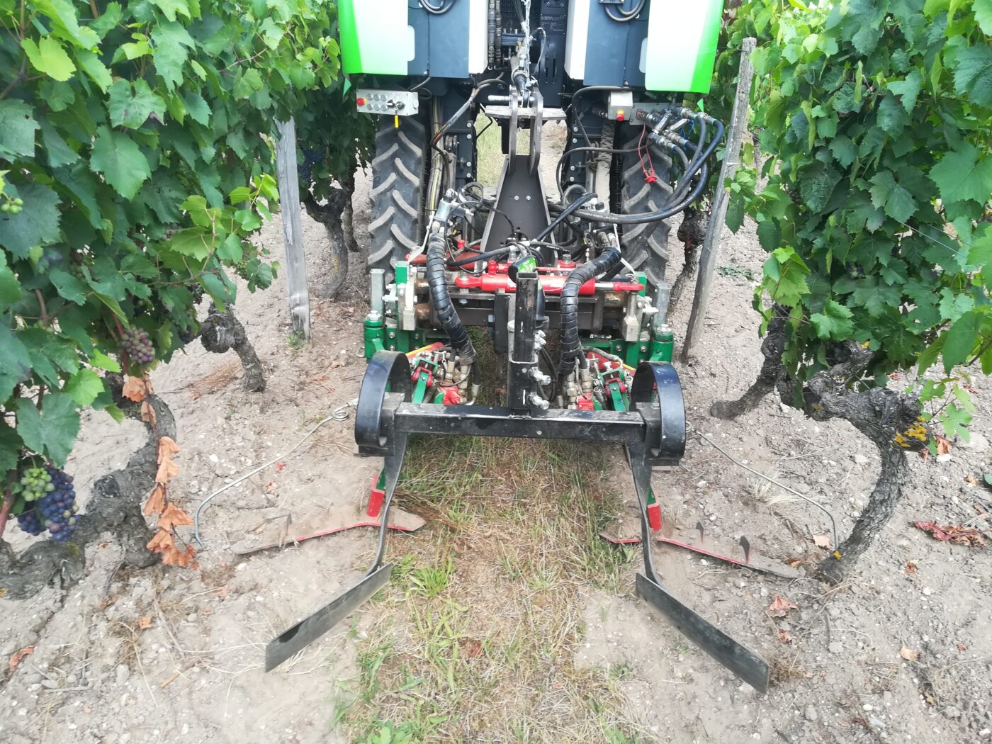 Viticulture - Trektor